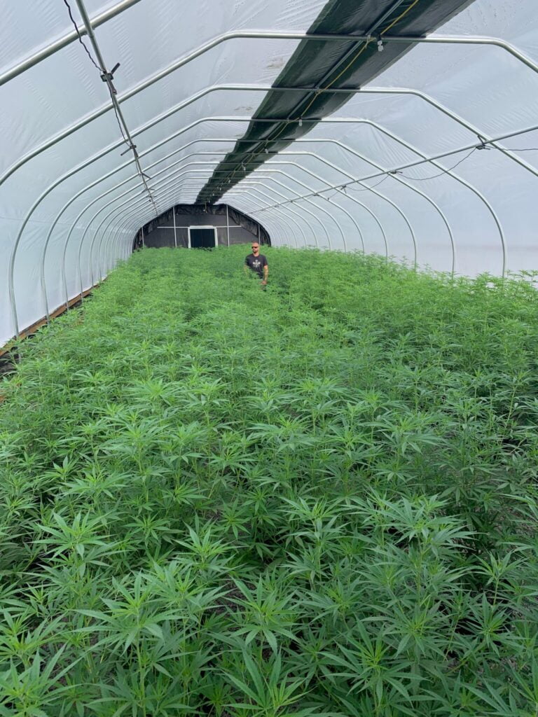 About Us - Davis Hemp Farms